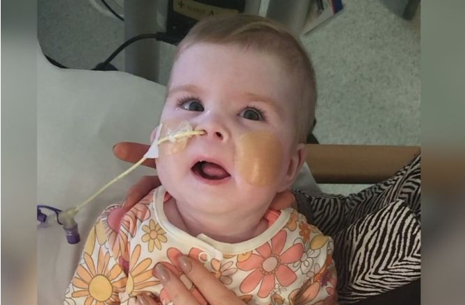 Indi Gregory remembered as ‘true warrior’ at funeral | Catholic ...