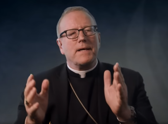 Bishop Barron, U.S. bishops condemn FDA’s approval of first OTC birth ...