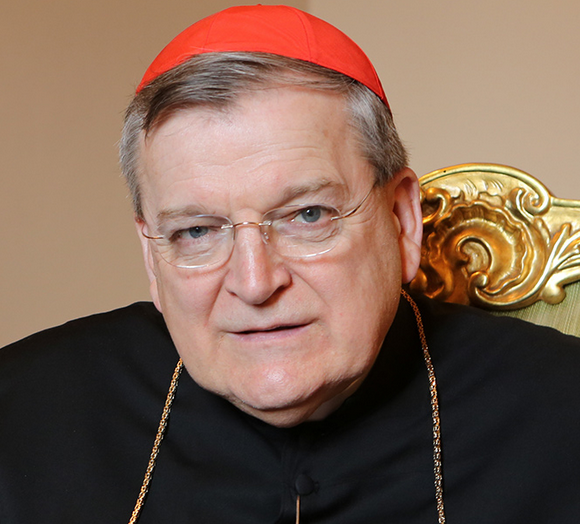 Cardinal Burke Clarifies Church Teachings on End-of-Life Issues ...